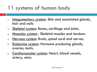 An introduction to the human body and organisation | PDF