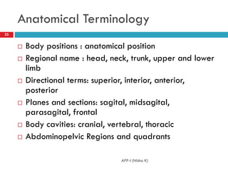 An introduction to the human body and organisation | PDF