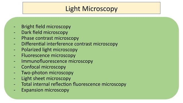 An Introduction to the Light Microscope, Light.pptx