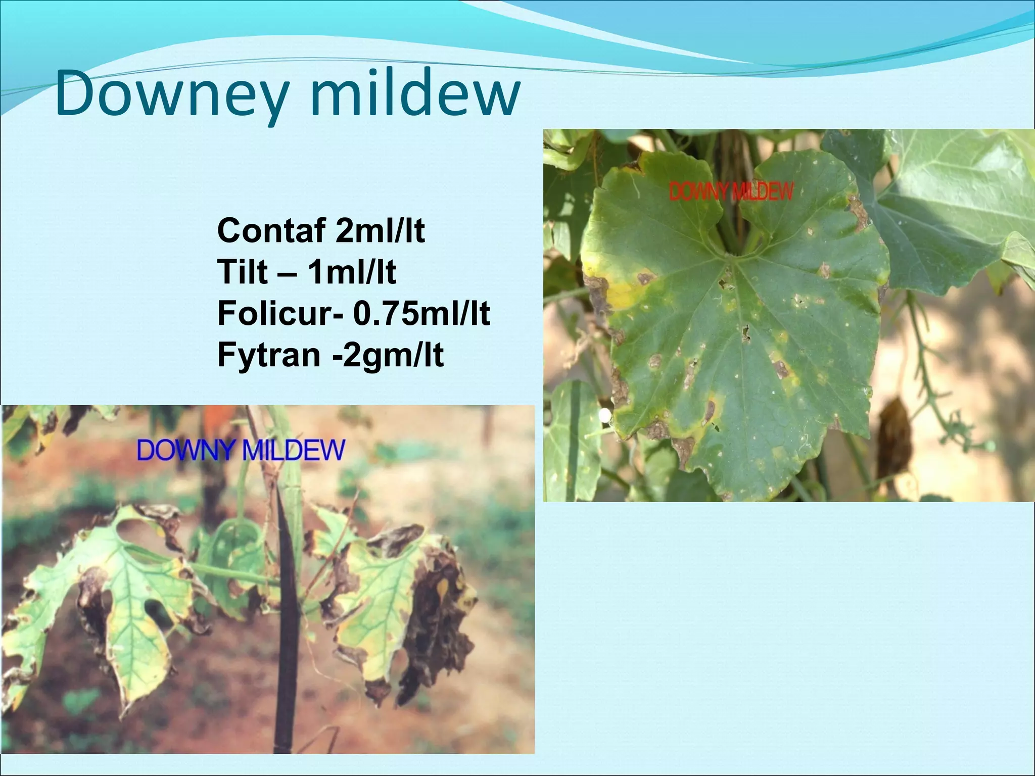 An introduction to the new generation pesticides 25 10-2013. new | PPT