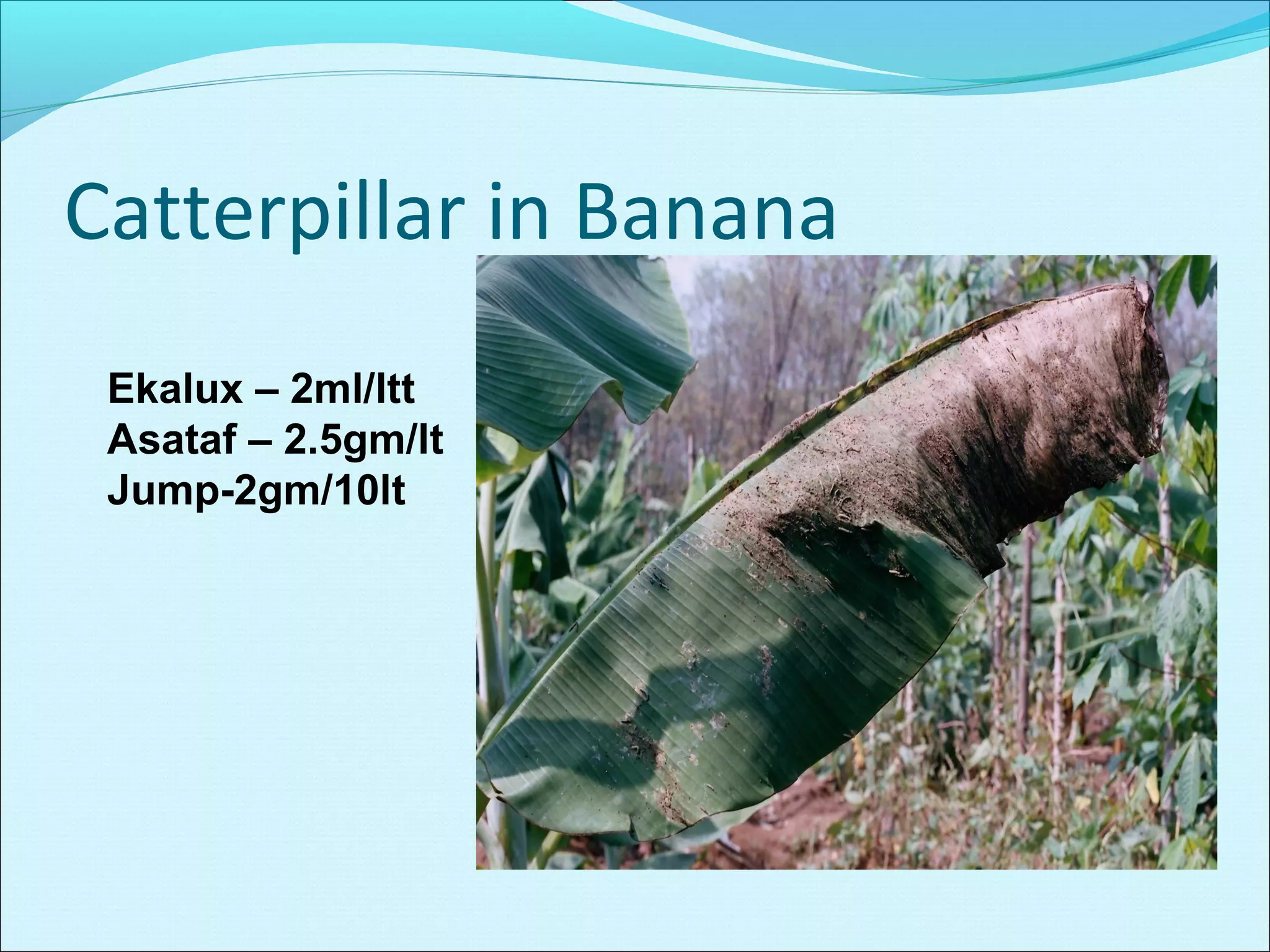 An introduction to the new generation pesticides 25 10-2013. new | PPT