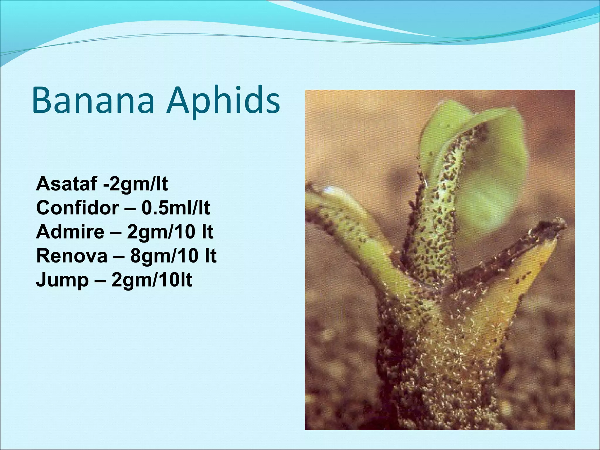 An introduction to the new generation pesticides 25 10-2013. new | PPT