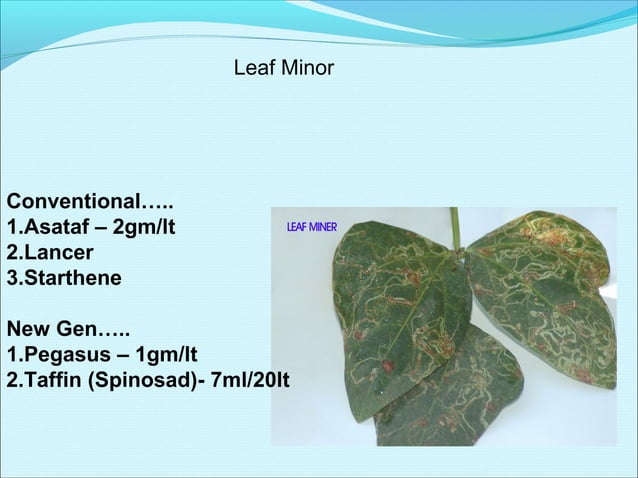 An introduction to the new generation pesticides 25 10-2013. new | PPT