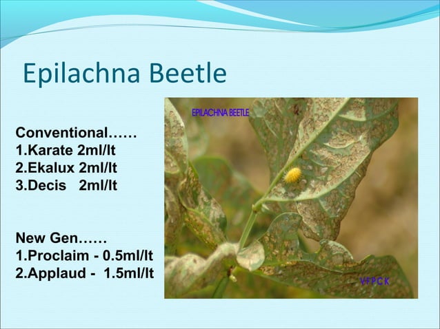 An introduction to the new generation pesticides 25 10-2013. new | PPT