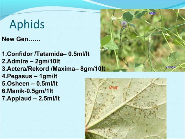 An introduction to the new generation pesticides 25 10-2013. new | PPT