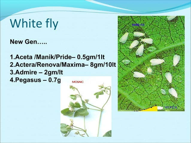 An introduction to the new generation pesticides 25 10-2013. new | PPT