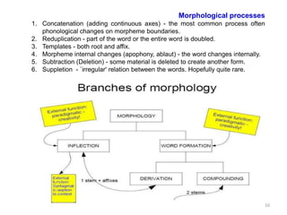 Properties of language morphology and communication | PPTX | Geology ...