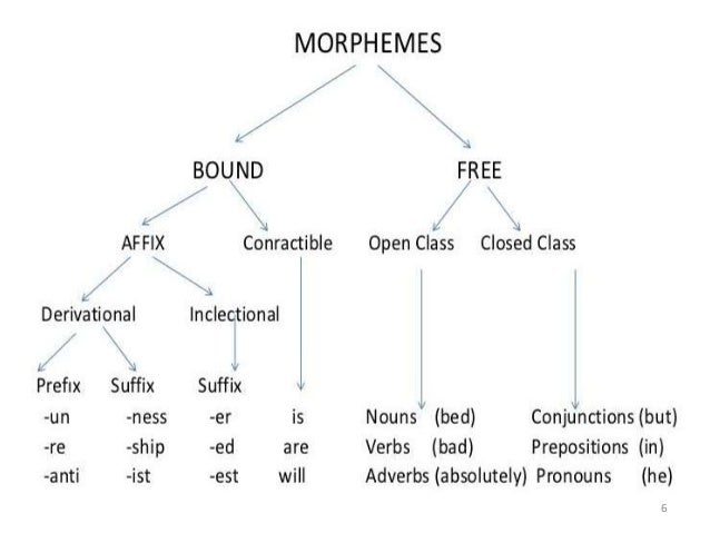 Properties of language morphology and communication