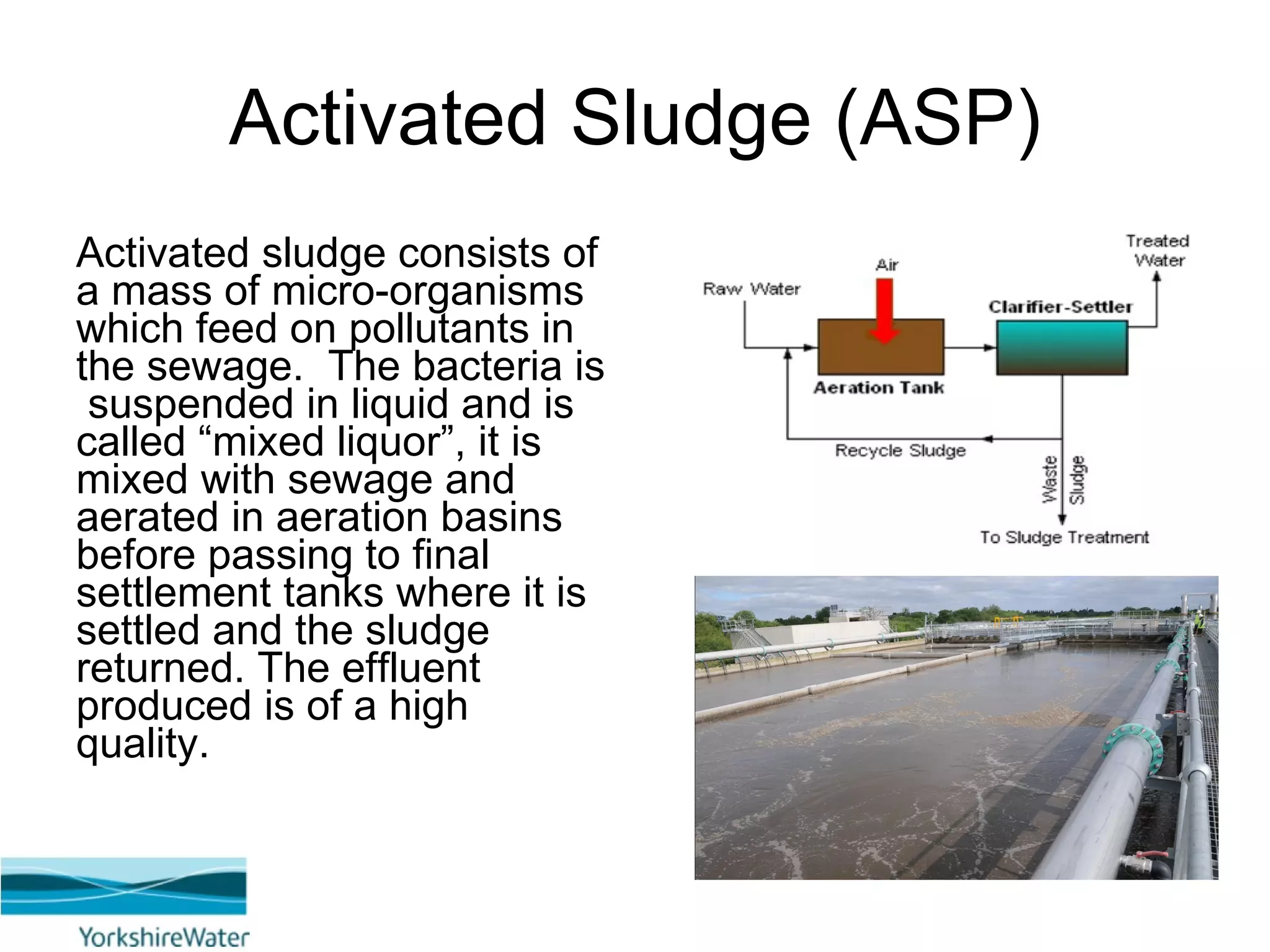An Introduction To Wastewater And Sludge Principles | PPT