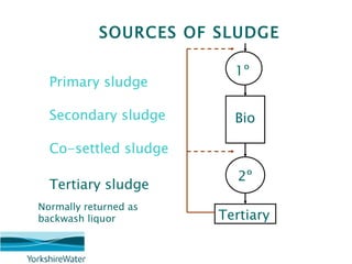 An Introduction To Wastewater And Sludge Principles | PPT