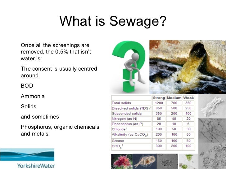 Sewage Sludge Definition Quizlet at Adriana Fishburn blog