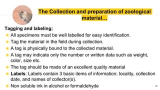 An introduction to zoological taxonomy, collection, and preparation of ...