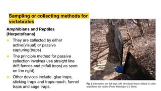 An introduction to zoological taxonomy, collection, and preparation of ...