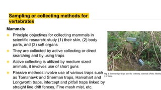 An introduction to zoological taxonomy, collection, and preparation of ...