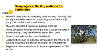 An introduction to zoological taxonomy, collection, and preparation of ...