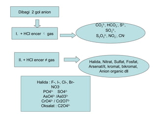 Anion identification_ Anny T_TLM_Polkessin.pptx