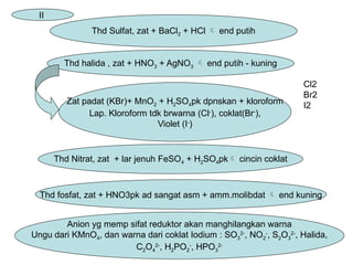Anion identification_ Anny T_TLM_Polkessin.pptx | Free Download