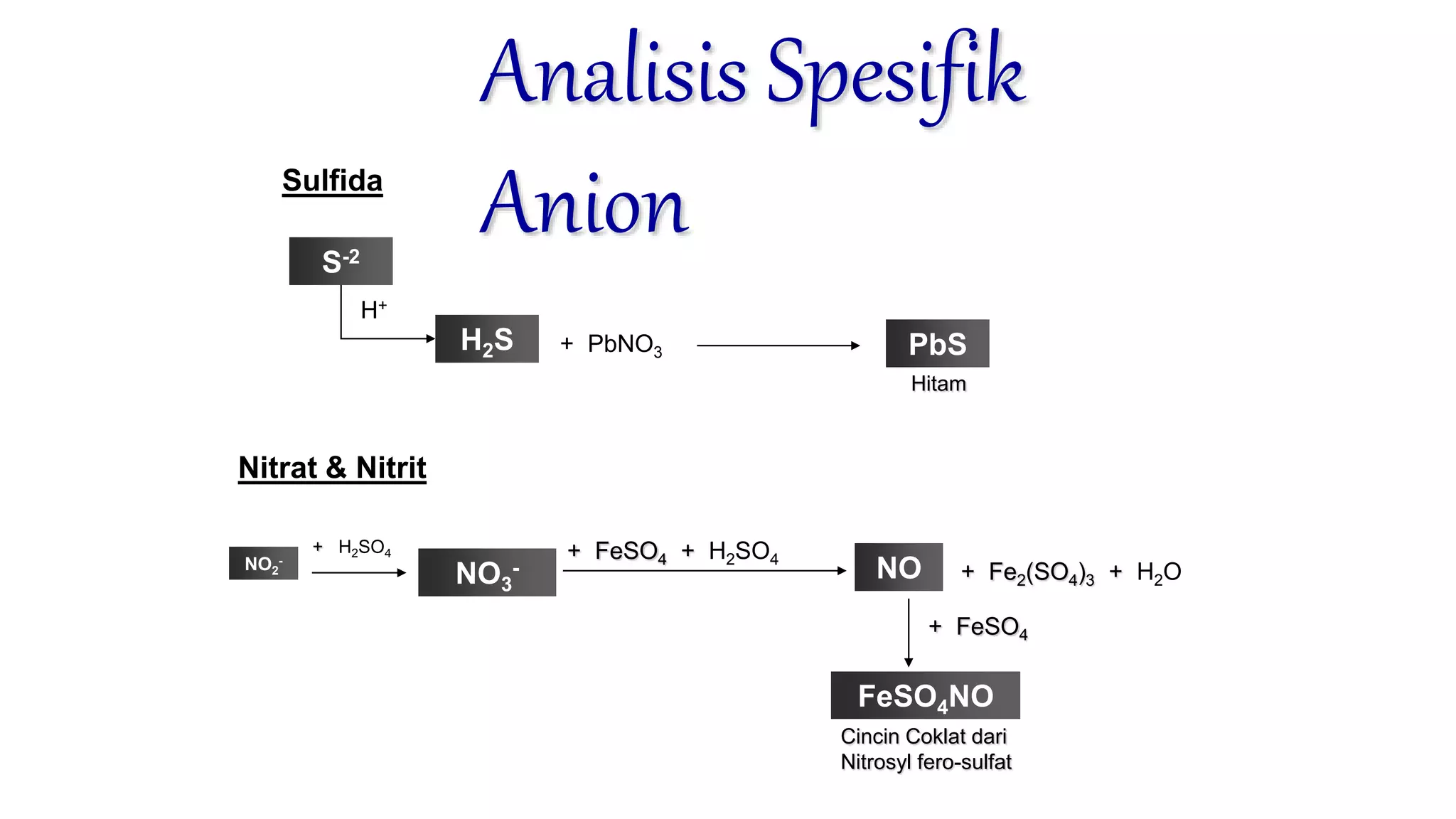 Anion (1).pptx