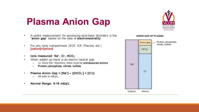 anion gap.pptx
