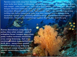Raja Ampat | PPT