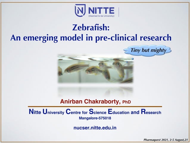 Zebrafish: an emerging model in preclinical research | PDF