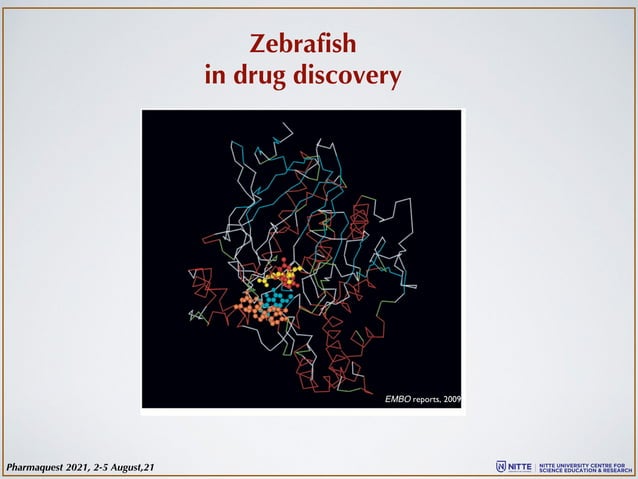 Zebrafish: an emerging model in preclinical research | PDF