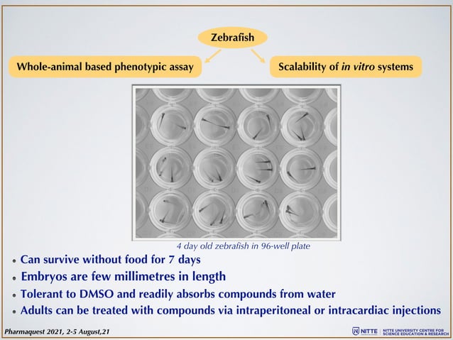 Zebrafish: an emerging model in preclinical research | PDF