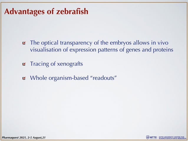 Zebrafish: an emerging model in preclinical research | PDF