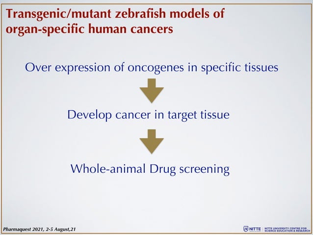 Zebrafish: an emerging model in preclinical research | PDF