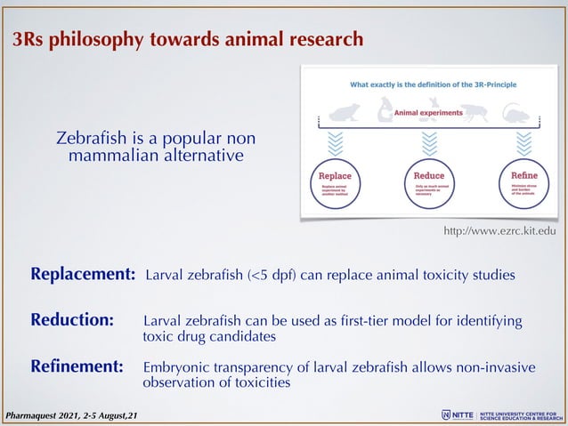 Zebrafish: an emerging model in preclinical research | PDF