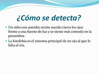 Aniridia | PPTX
