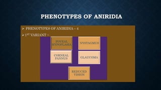 ANIRIDIA.pptx