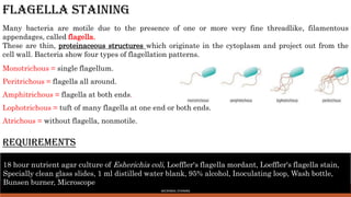 bacterial staining ppt | PDF