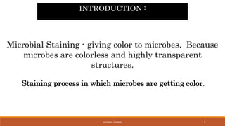 bacterial staining ppt | PDF