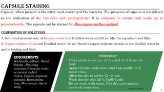 bacterial staining ppt | PDF