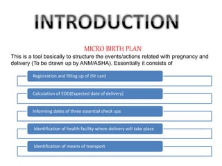 MICROBIRTH PLANNING | PPTX