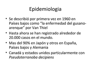 Anisakiasis | PPT