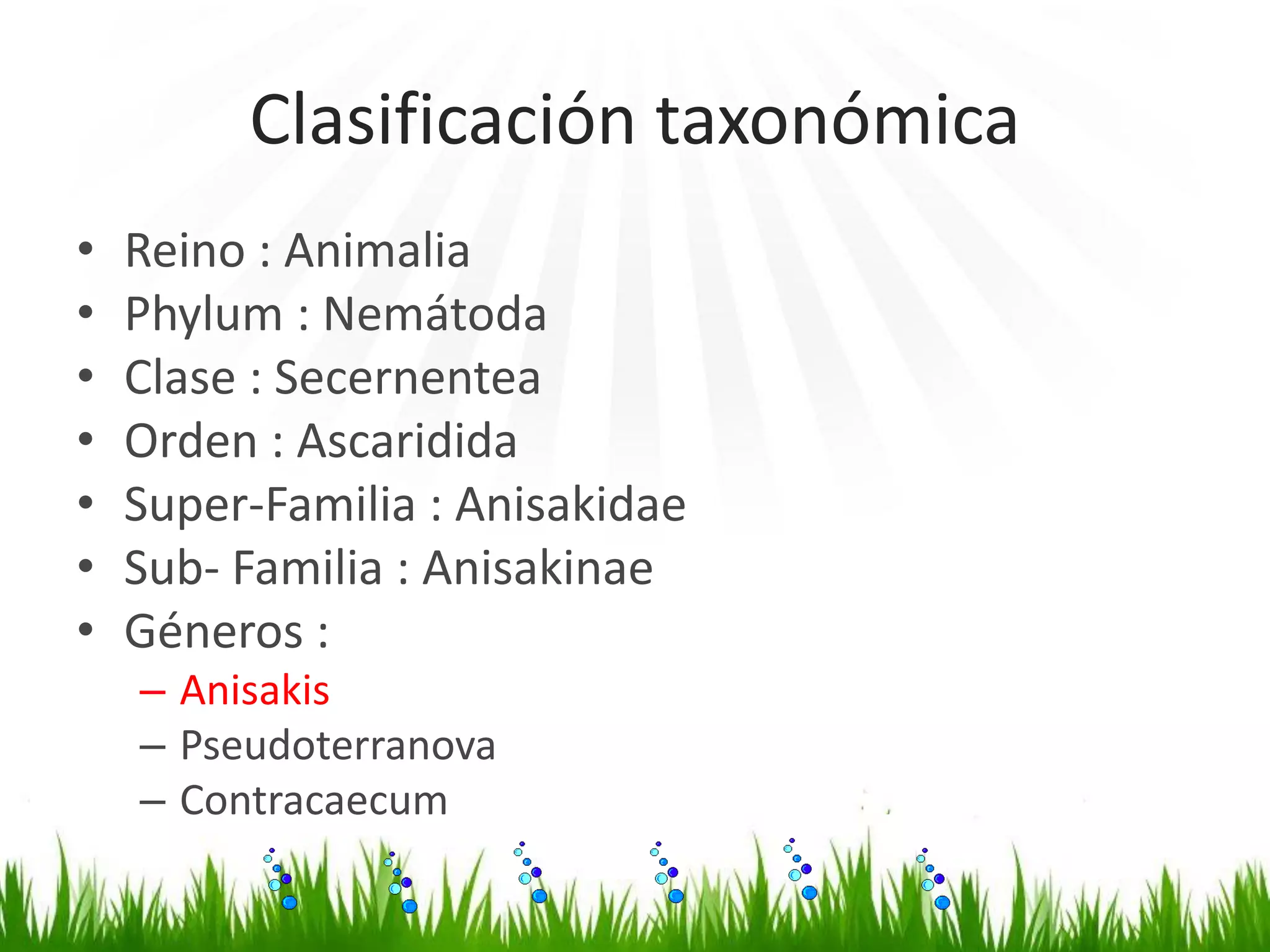 Anisakidosis salud publica | PDF