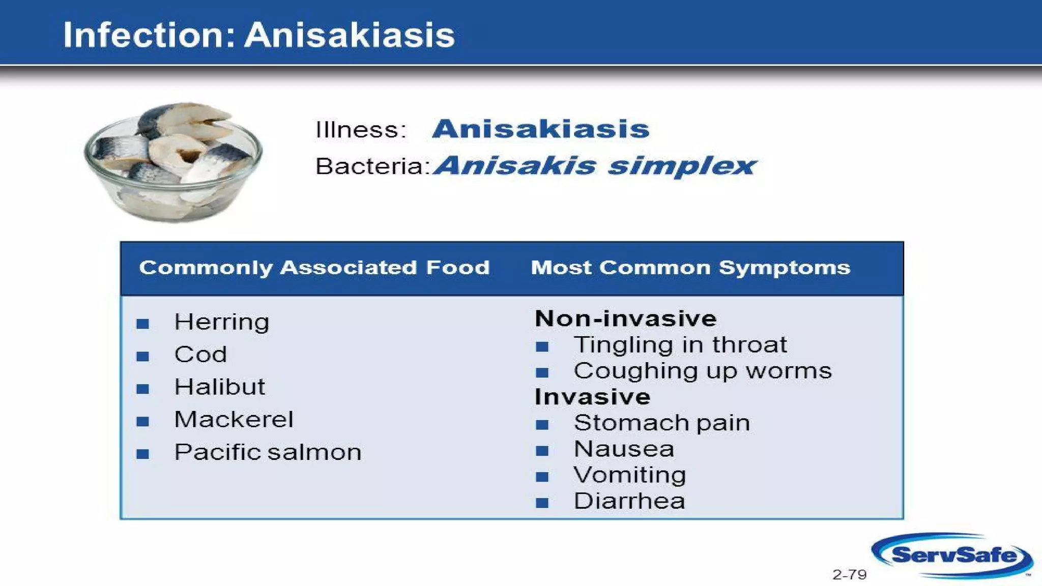 Anisakis Simplex | PDF