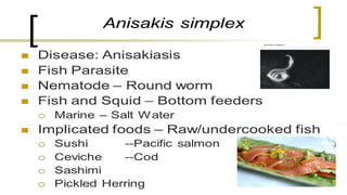 Anisakis Simplex | PDF