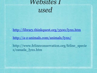 My Presentation About Lynx's | PPT