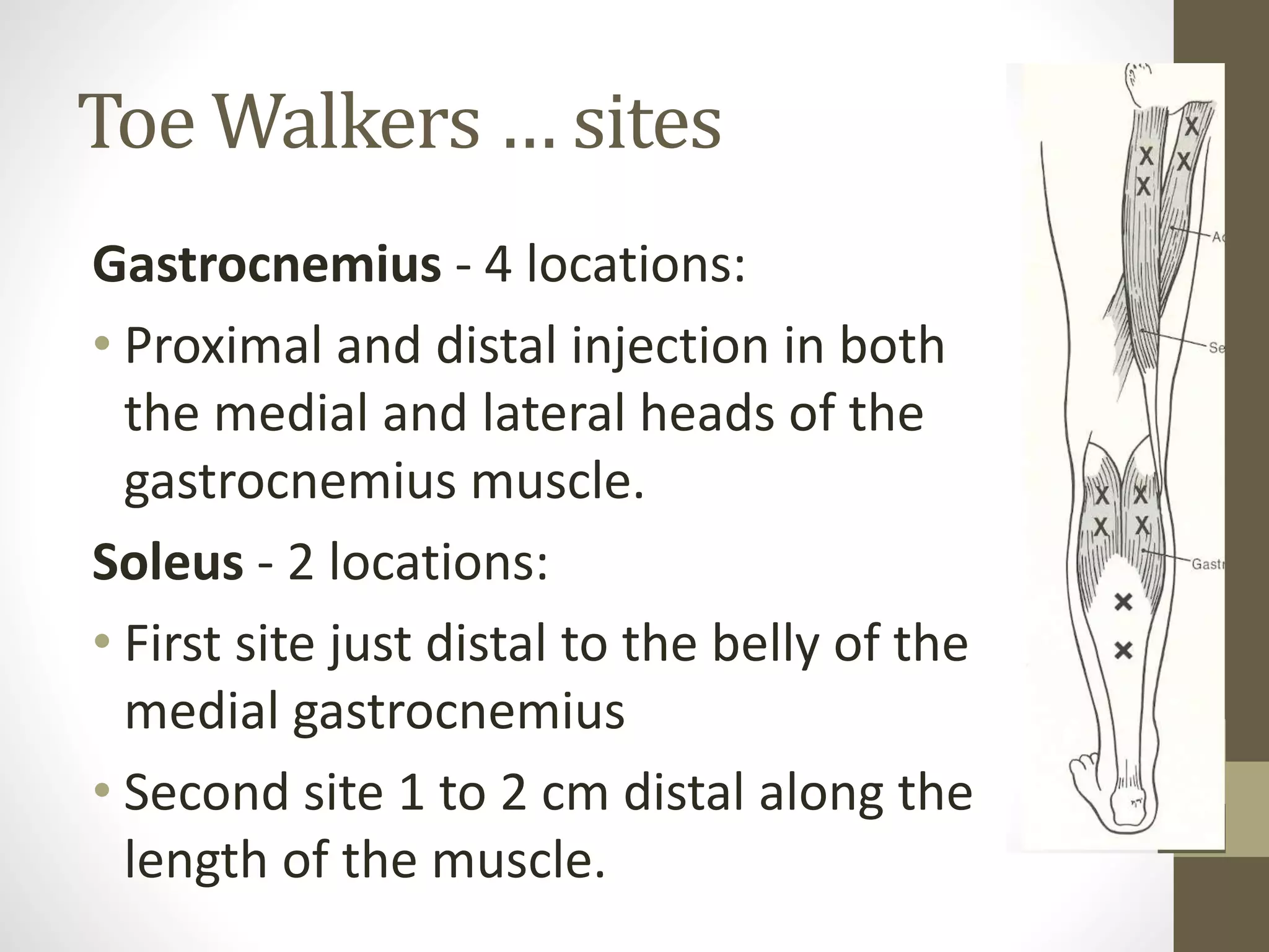Cerebral Palsy Spasticity Management & Botox therapy | PPTX