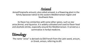 Aniseed | PPTX