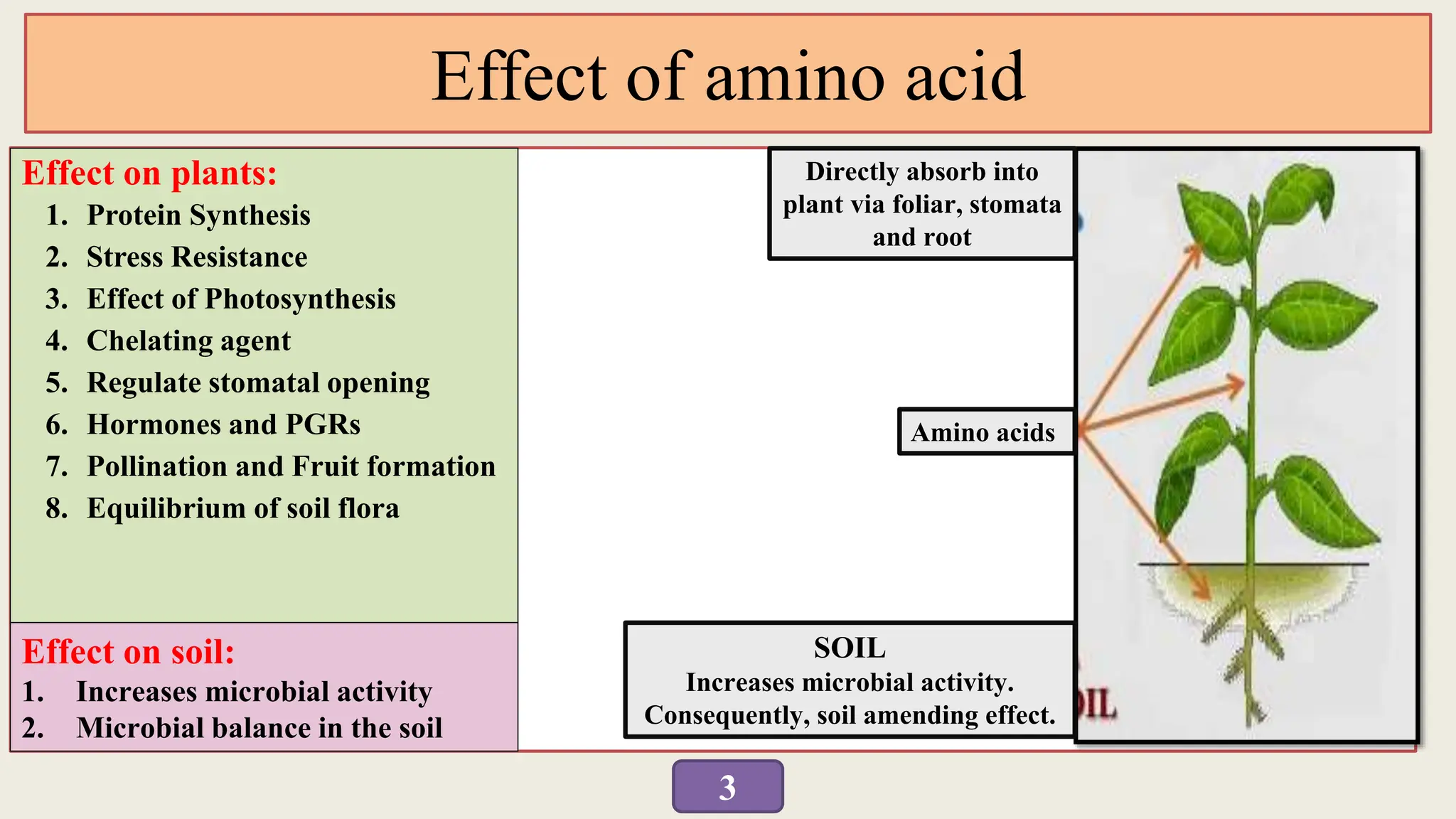 Role of amino acid, fulvic acid and humic acid in fruit crops | PPT