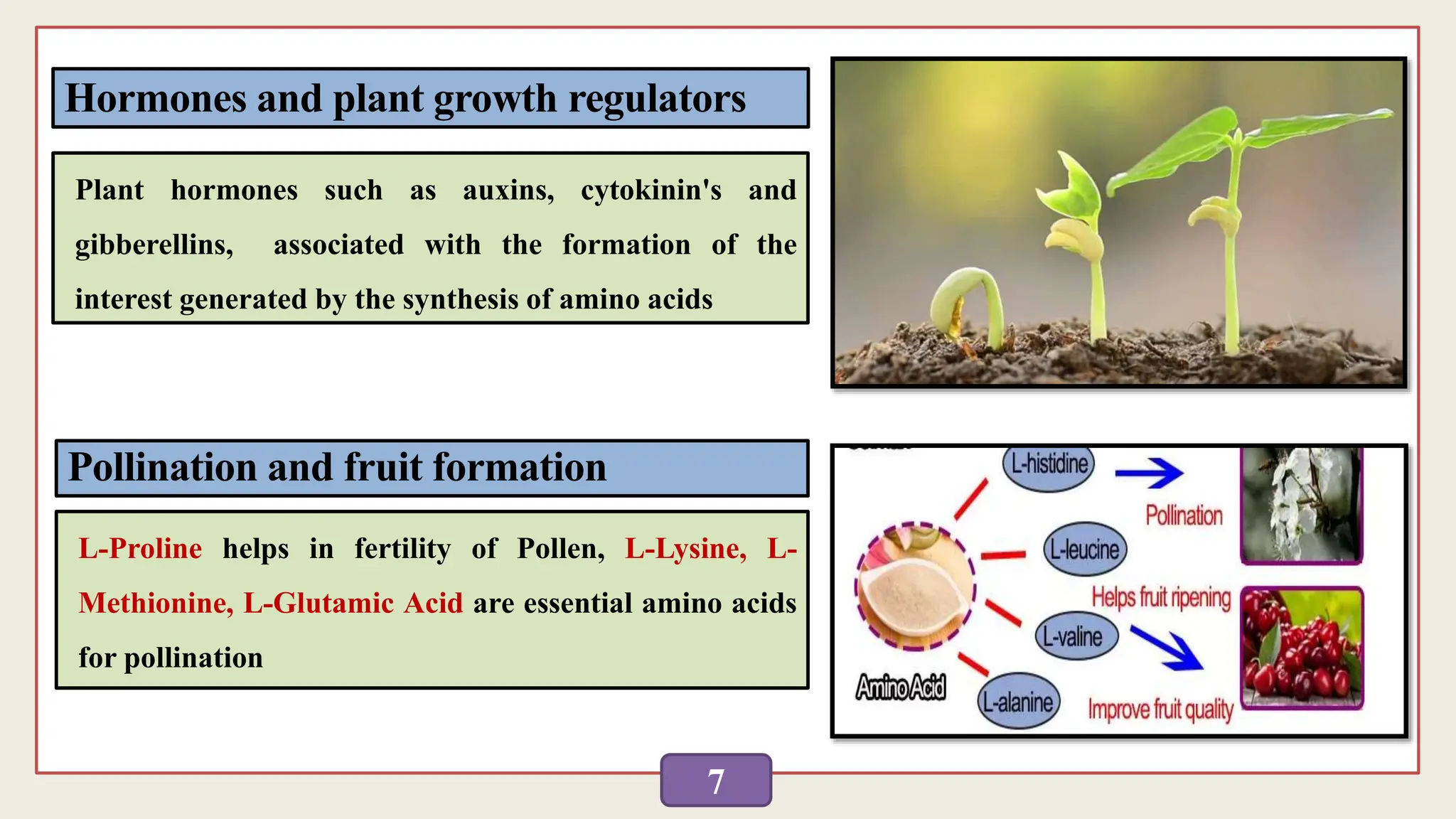 Role of amino acid, fulvic acid and humic acid in fruit crops | PPT