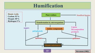 Role of amino acid, fulvic acid and humic acid in fruit crops | PPTX