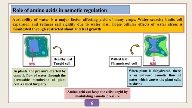 Role of amino acid, fulvic acid and humic acid in fruit crops | PPT
