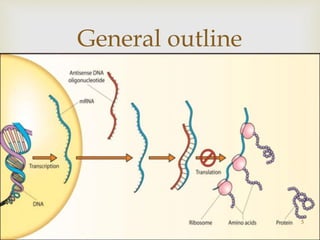 Antisense RNA technology | PPTX