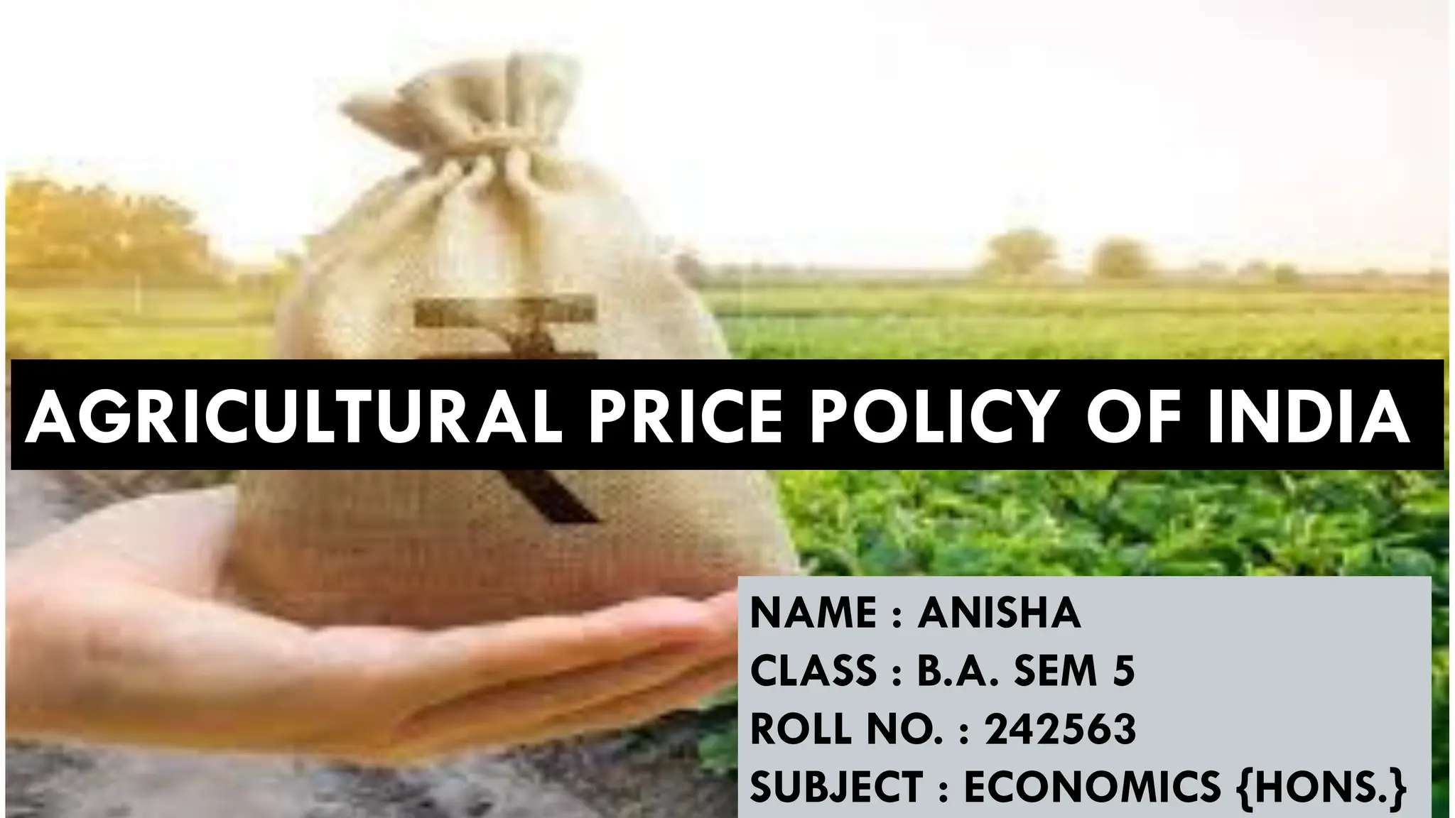 Agricultural Price Policy of India , Economics | PDF