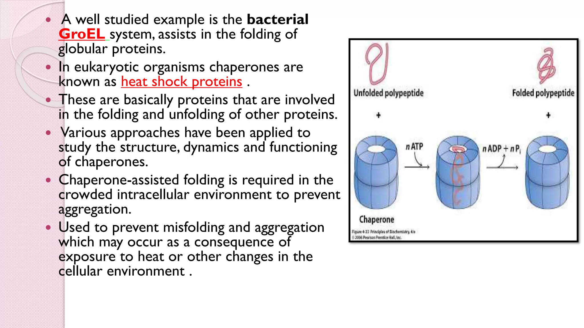 Protein Folding-biophysical and cellular aspects, protein denaturation | PDF